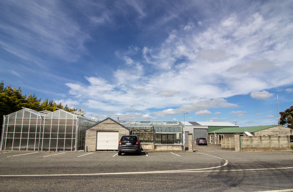 About - Hayes Wholesale